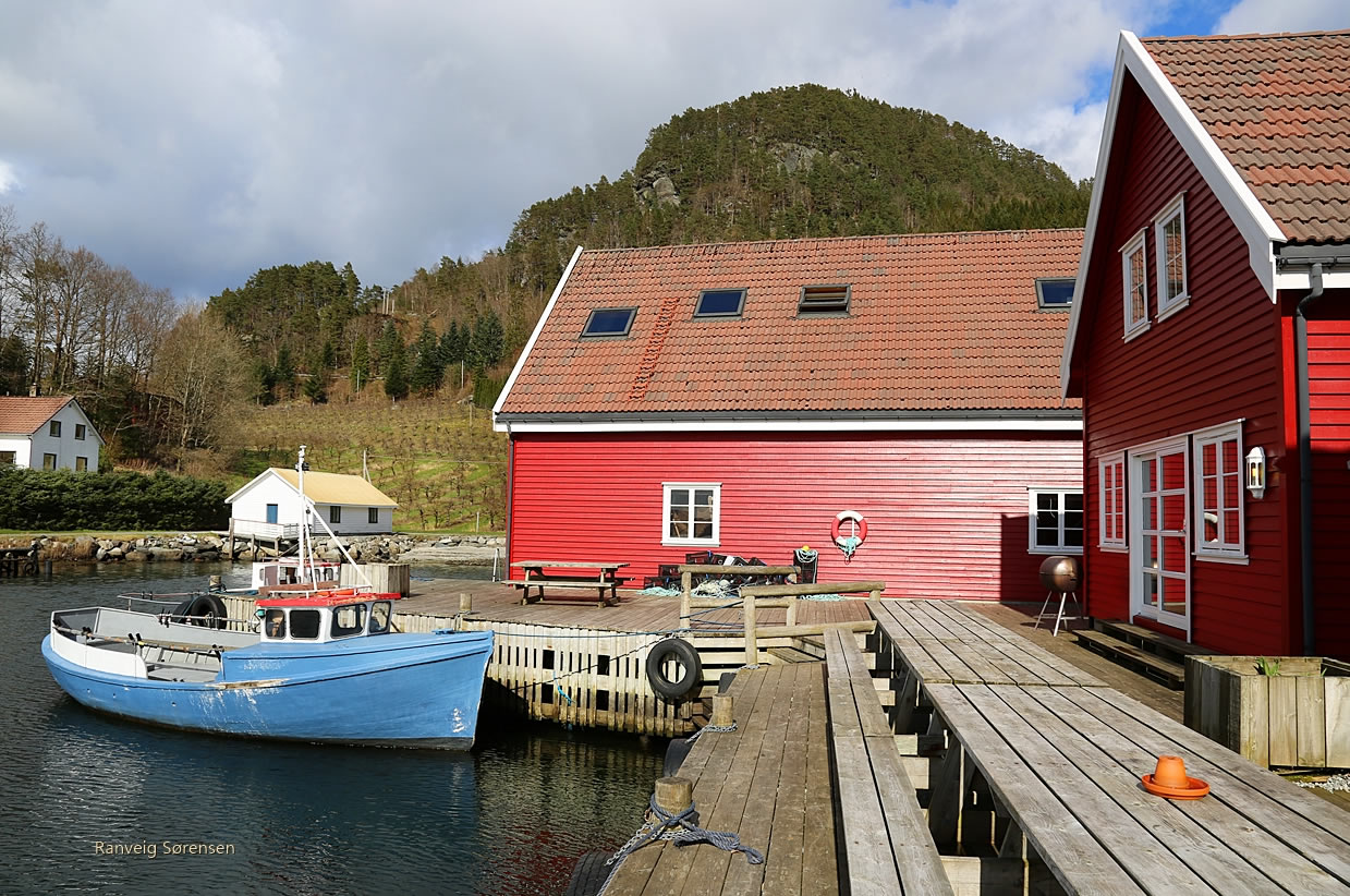 94 – Solvåg Fjord Ferie – Ryfylke – Fiske